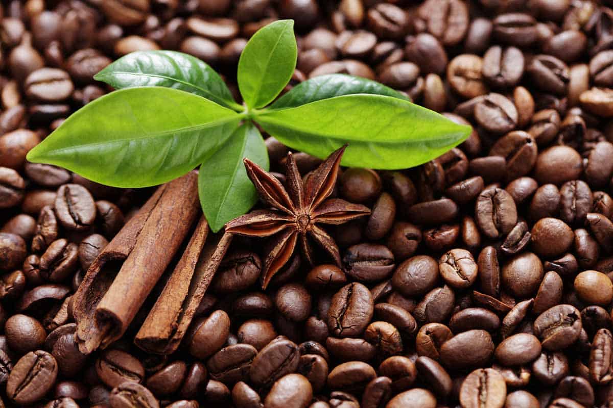 The History Of Coffee | Coffee's Origins